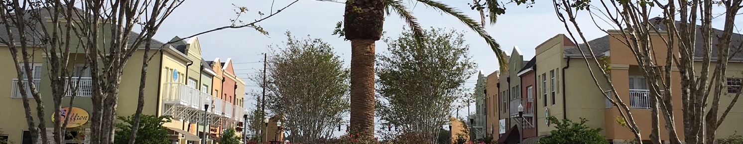 FAQs - Cagan Crossings